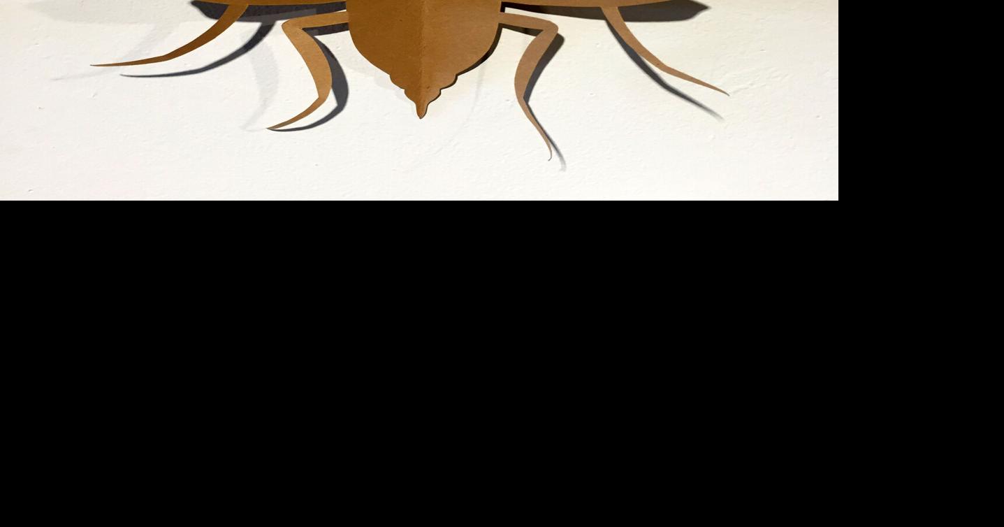 Bug-themed exhibit showing in conjunction with conference ...