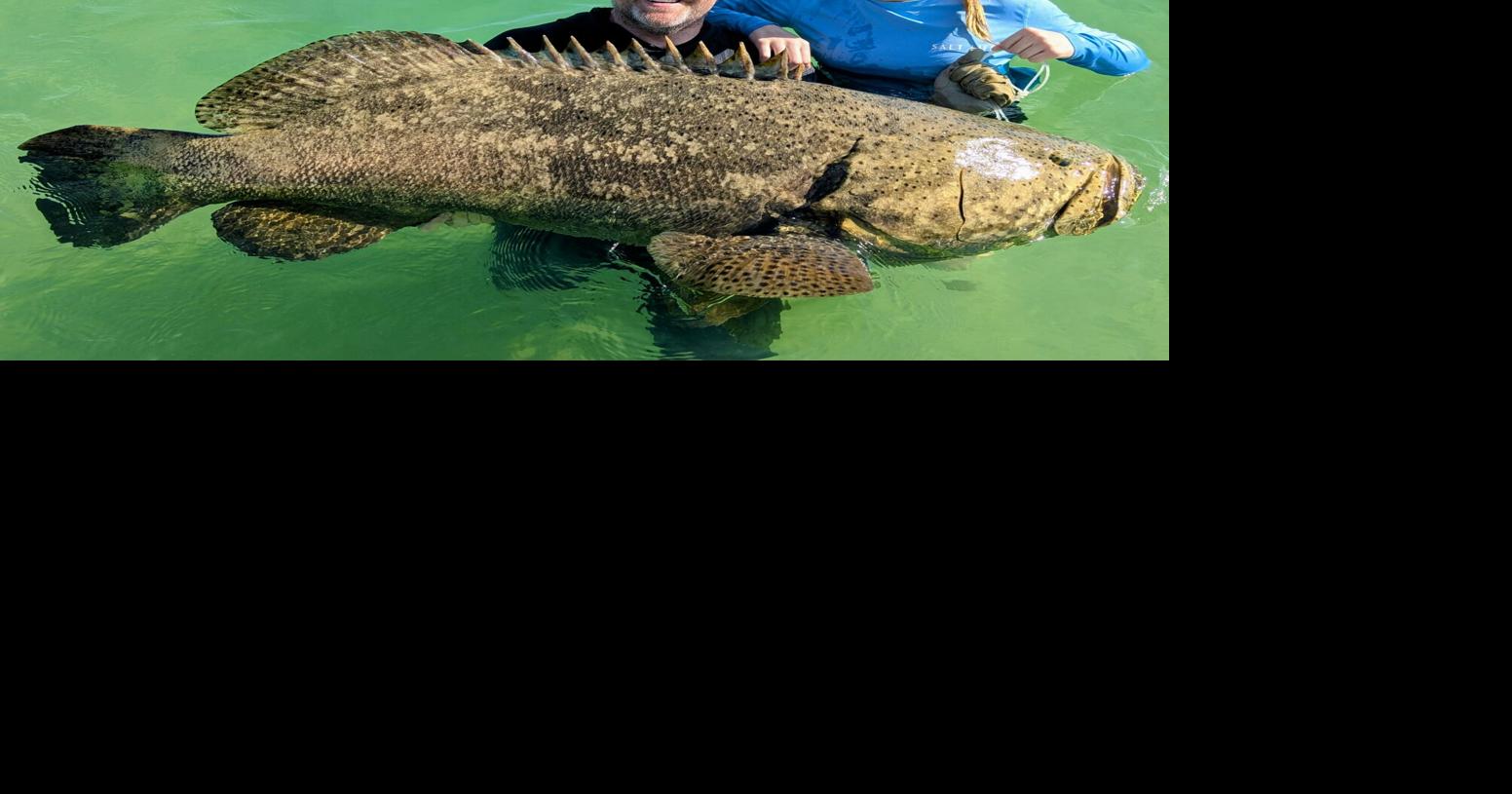 Mackenthun: A memorable Florida fishing trip chasing Goliath grouper ...