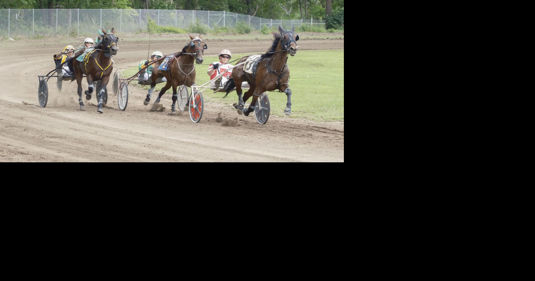 Harness racing draws crowd to Nicollet County Fair | Local News ...