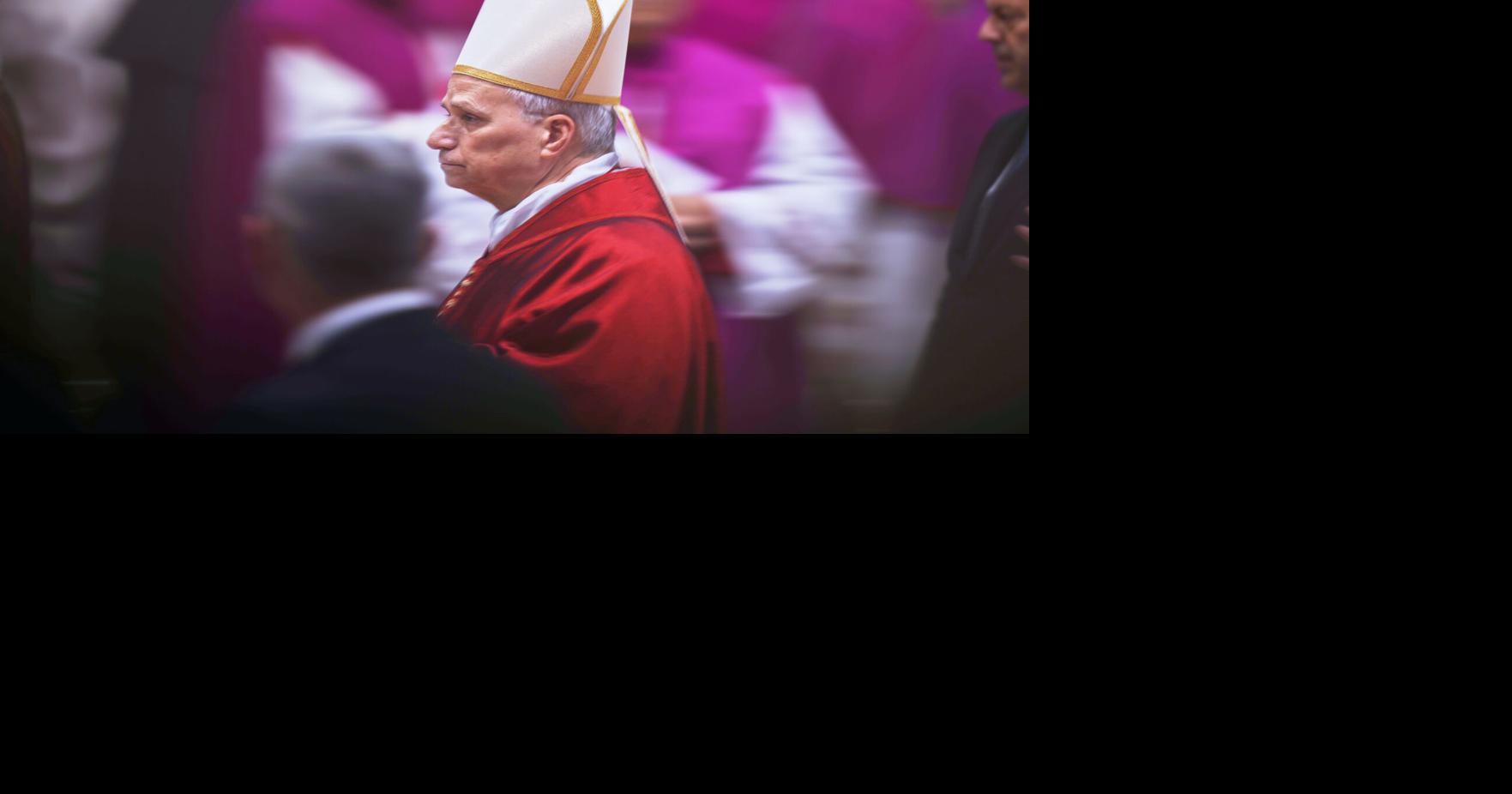 Highlights of Pope Leo XIV's trip to Africa | National News ...