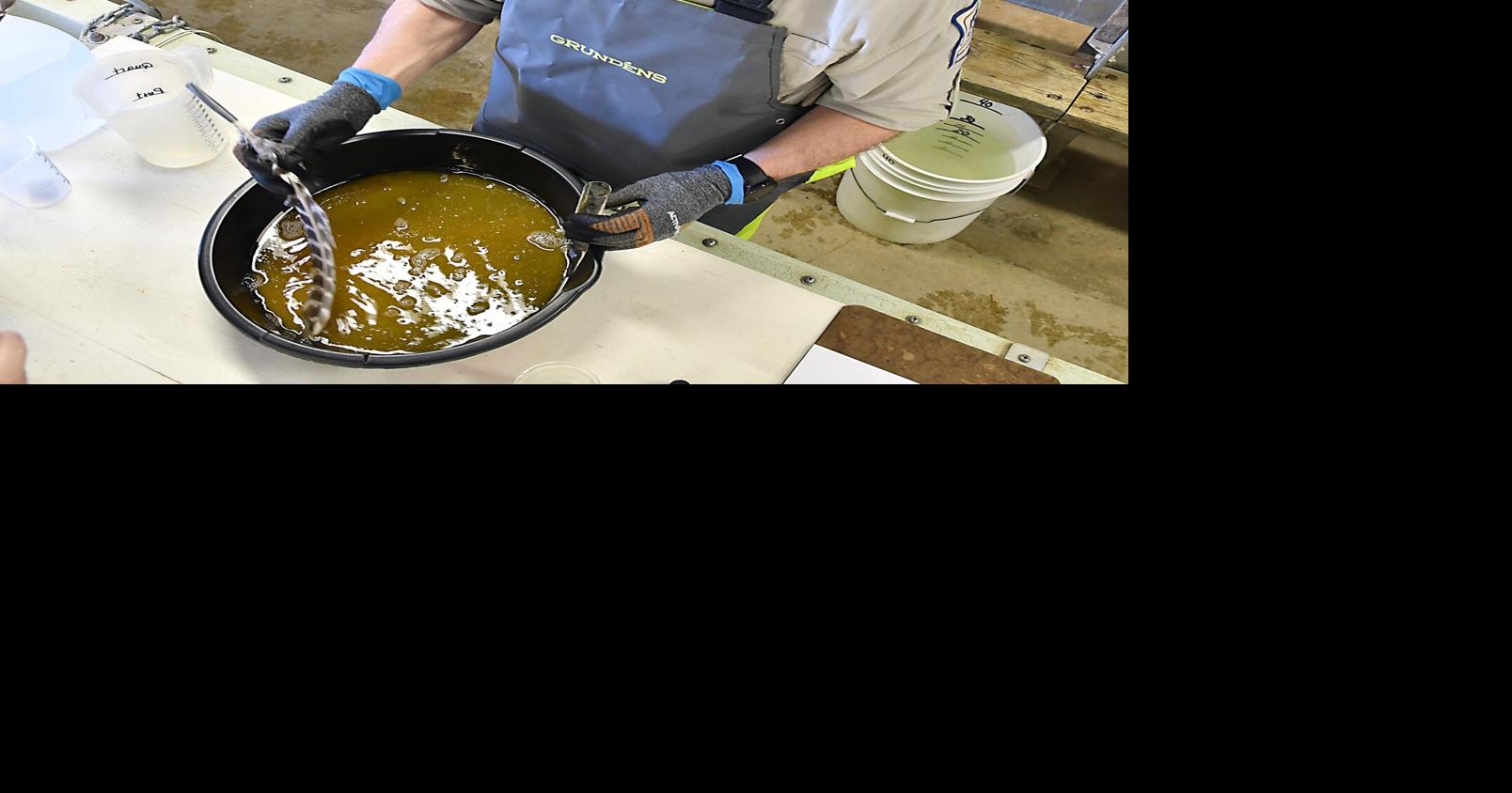 Informer: Fish hatchery sets open house | Local News | mankatofreepress.com