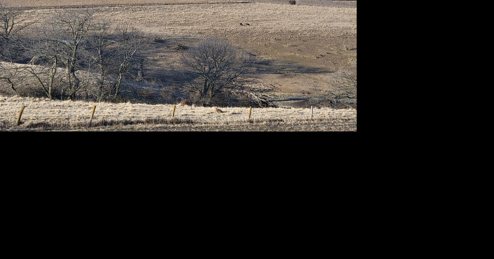 Mackenthun: Mild winter allows chance to catch up on outdoor chores ...