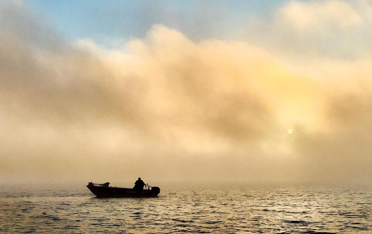 Lake Washington: Local genetic strain boosts walleye numbers | Local ...