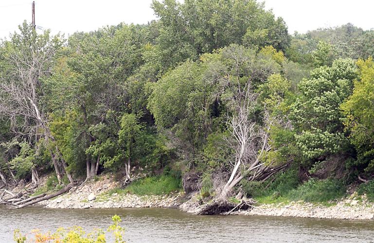 Bank stabilization to remove trees, add riprap near Riverfront Park ...