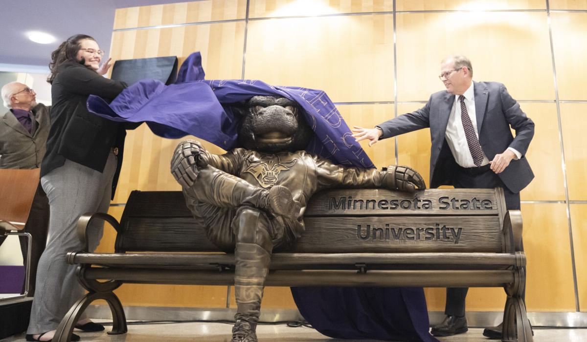 PHOTOS: MSU unveils Stomper Statue | Local News | mankatofreepress.com