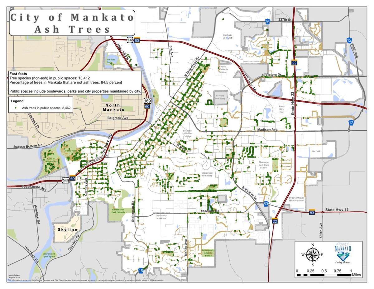 Emerald ash borer making its way to Mankato area | Local News ...