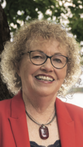 Two Le Sueur residents vie for House District 22B seat | Elections ...