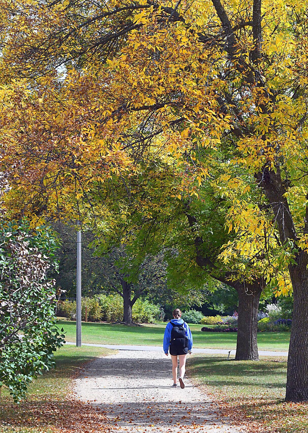 Gustavus drops Linnaeus name from arboretum | Local News | mankatofreepress.com