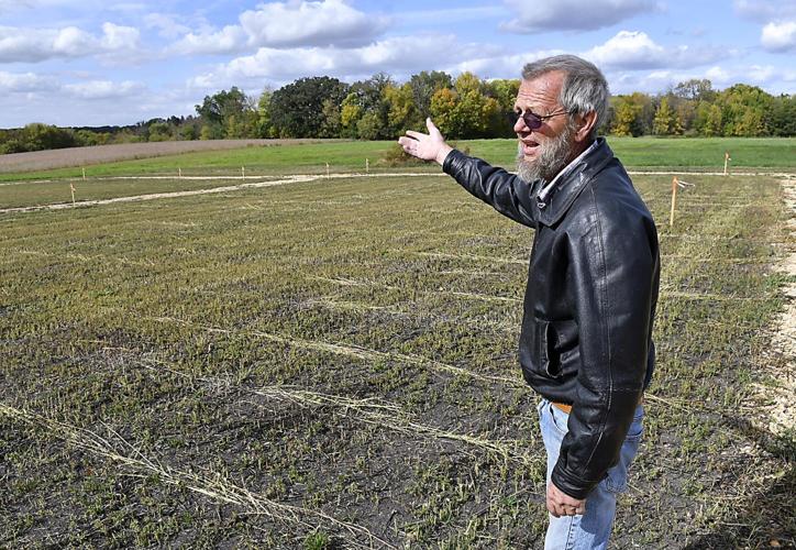 New Sterling Cemetery aims to give historic graveyard everlasting life ...