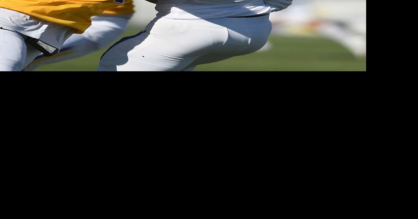 MSU football Alex Goettl | Local Sports | mankatofreepress.com