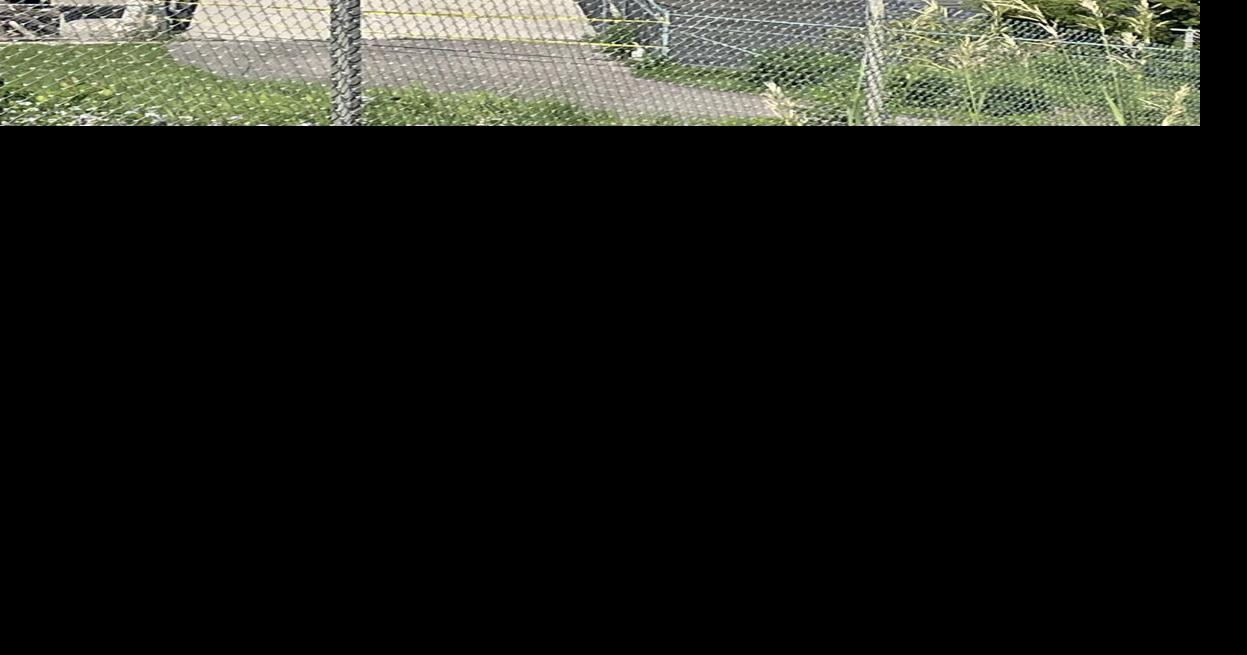 Rapidan Dam 062724 1 | | mankatofreepress.com