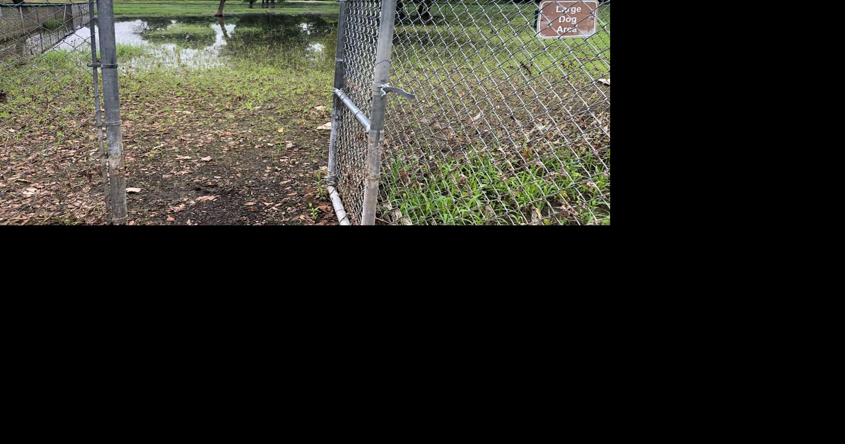 Site identified for new St. Peter dog park | Local News ...