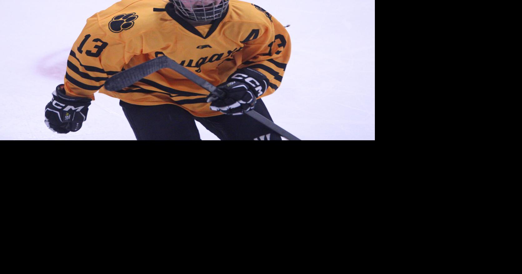 Mankato East girls hockey win thriller, claim section 2A title | Local ...