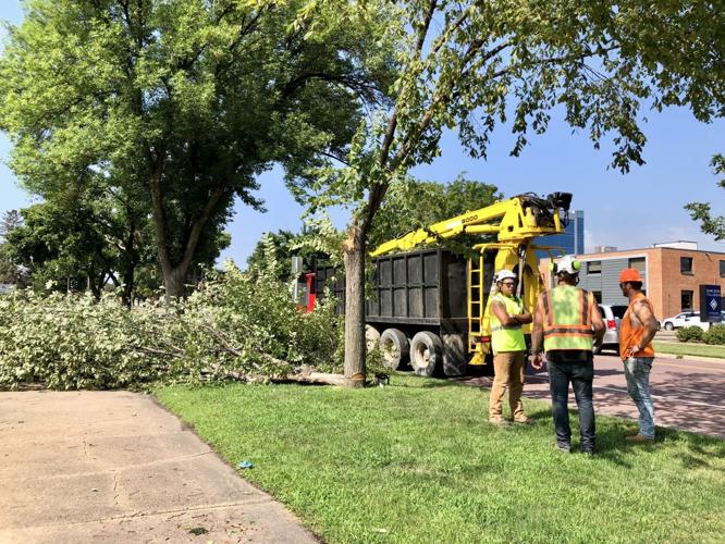 UPDATE: Storm slams Mankato area; lots of tree damage reported after ...