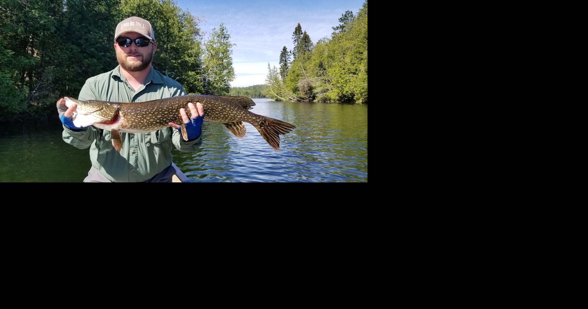 Mackenthun: From scales to markings, sometimes it's tricky to get fish ...