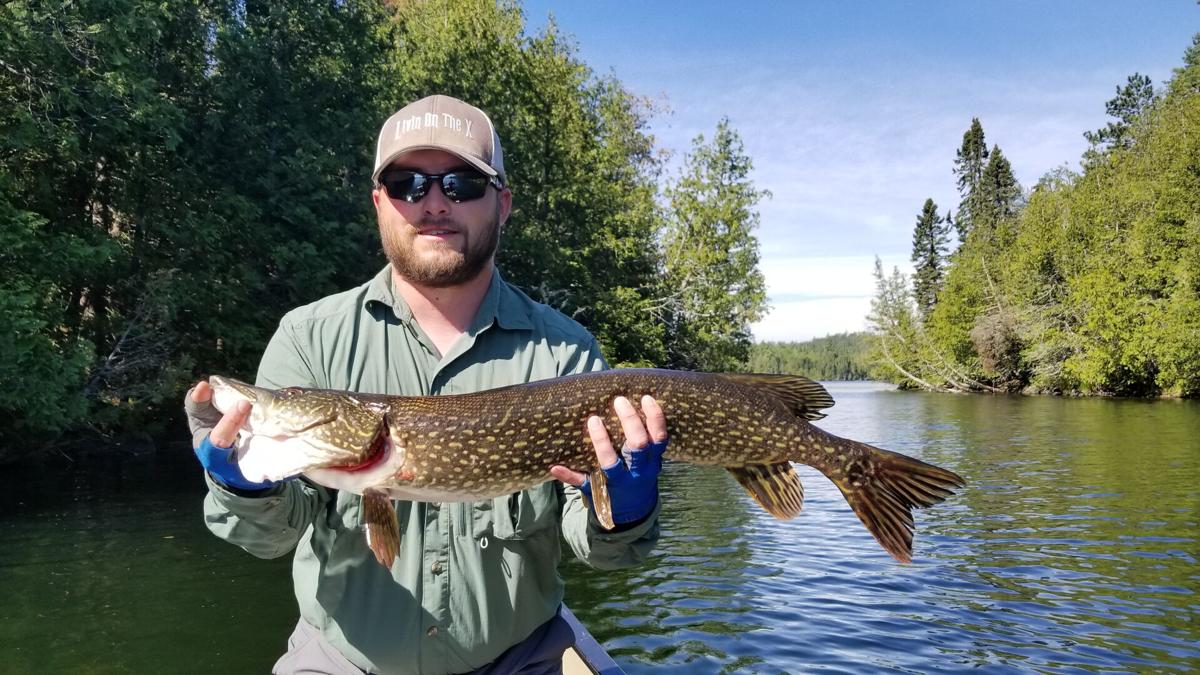 Mackenthun: From scales to markings, sometimes it's tricky to get fish ...