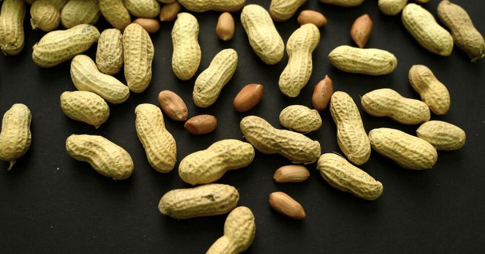 Study confirms success of early exposure to peanuts | Lifestyles ...