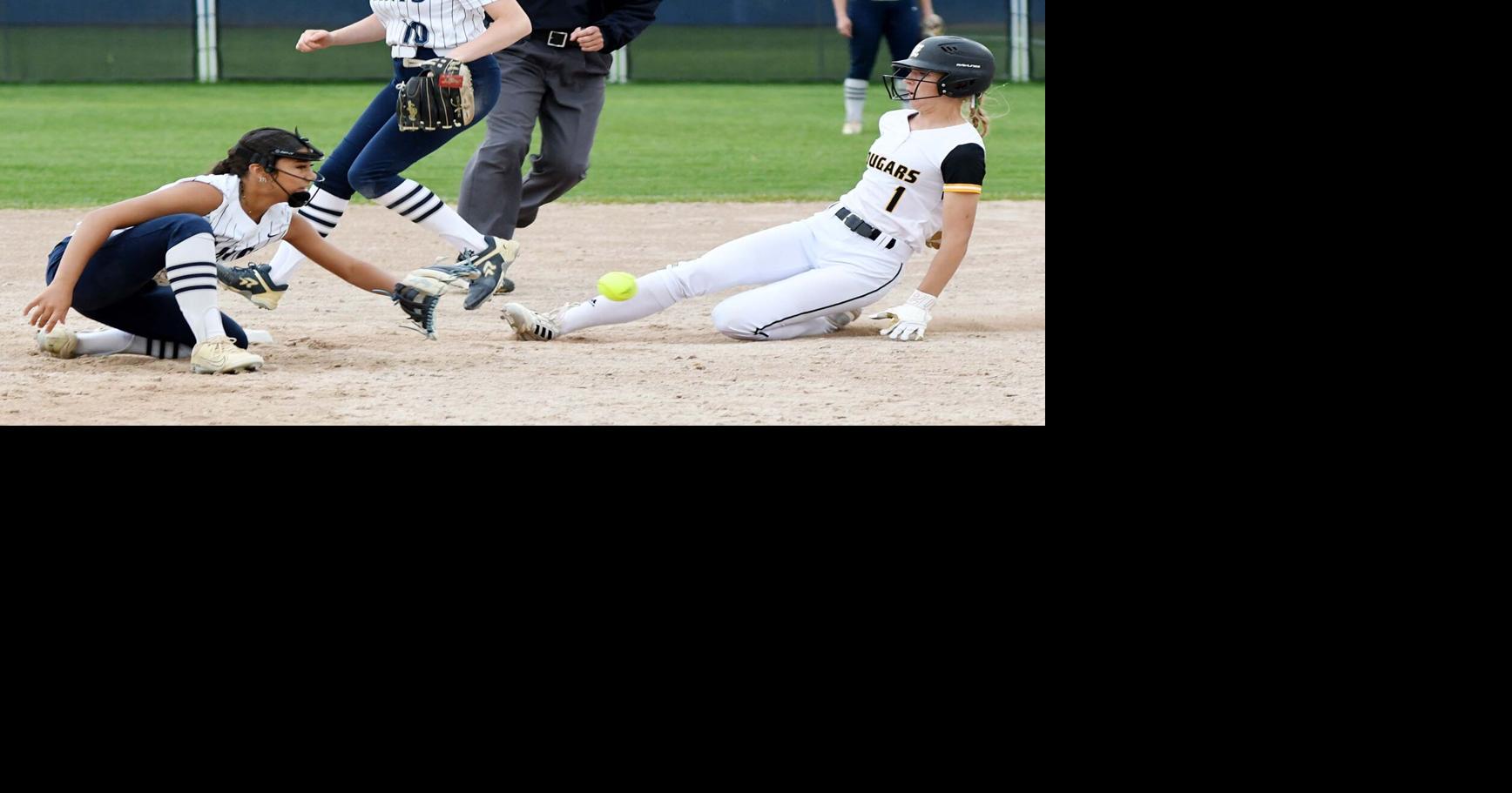 Cougars down St. Peter to reach section final | Local Sports | mankatofreepress.com