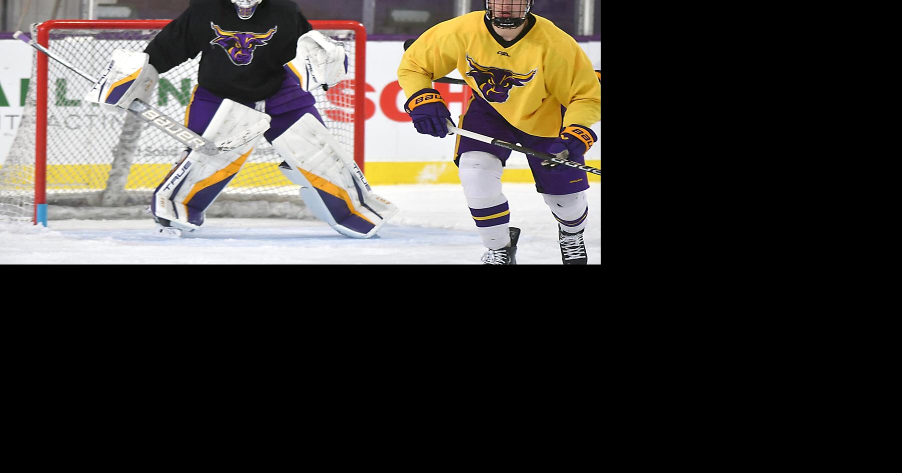 MSU hockey preview: Key roles up for grabs throughout depth chart ...