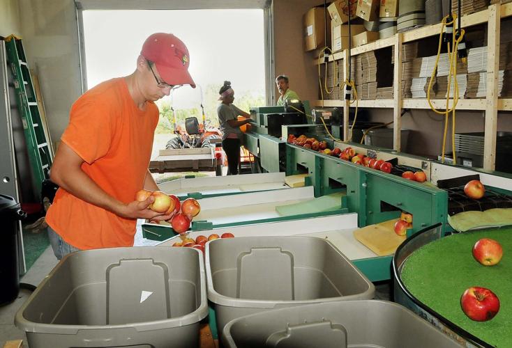 Agritourism connects consumers with food and nature | Business ...