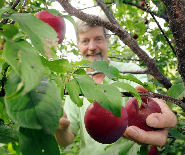 Agritourism connects consumers with food and nature | Business ...