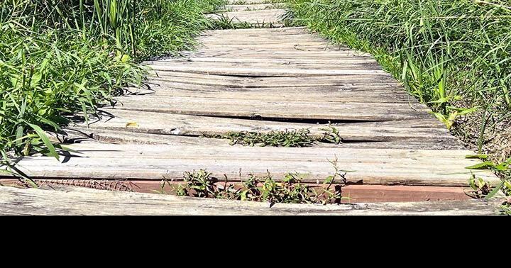 Floating trails staying for now | Local News | mankatofreepress.com