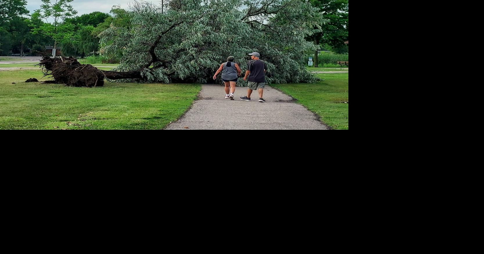UPDATE: Storm slams Mankato area; lots of tree damage reported after ...