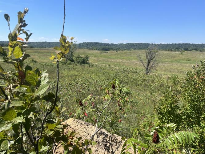 Ask Us: Unimin not dead yet, concern for Kasota Prairie lives on ...