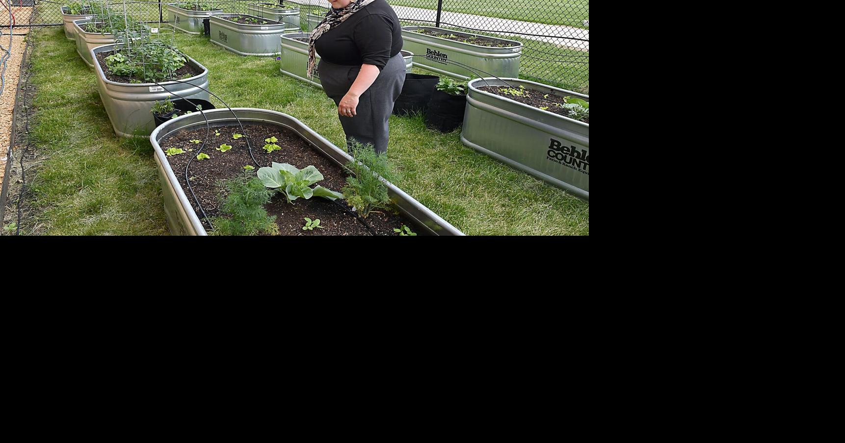 Sprouting up: New MSU garden will assist student food pantry | Local ...