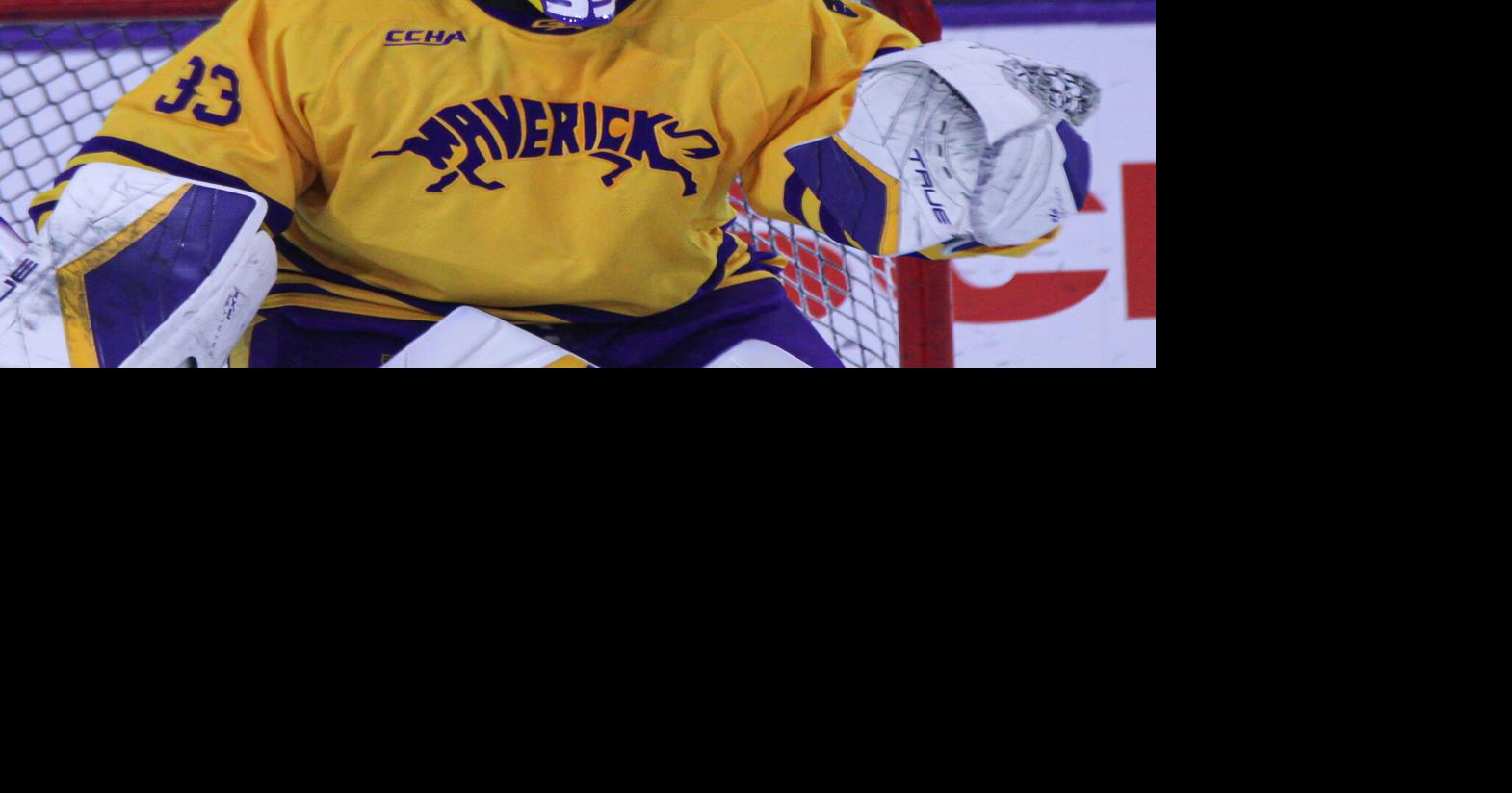 No. 14 Minnesota State hockey drops opener to Augustana | MSU men's ...