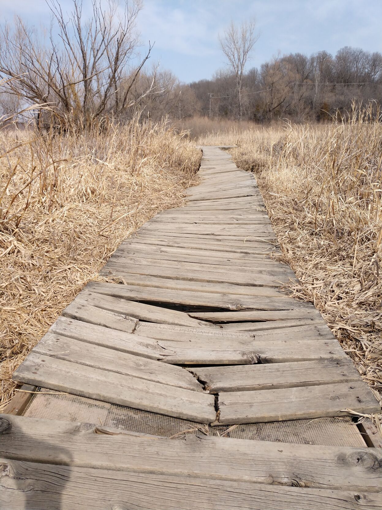 Rasmussen Woods' floating trails may be sunk | Local News ...