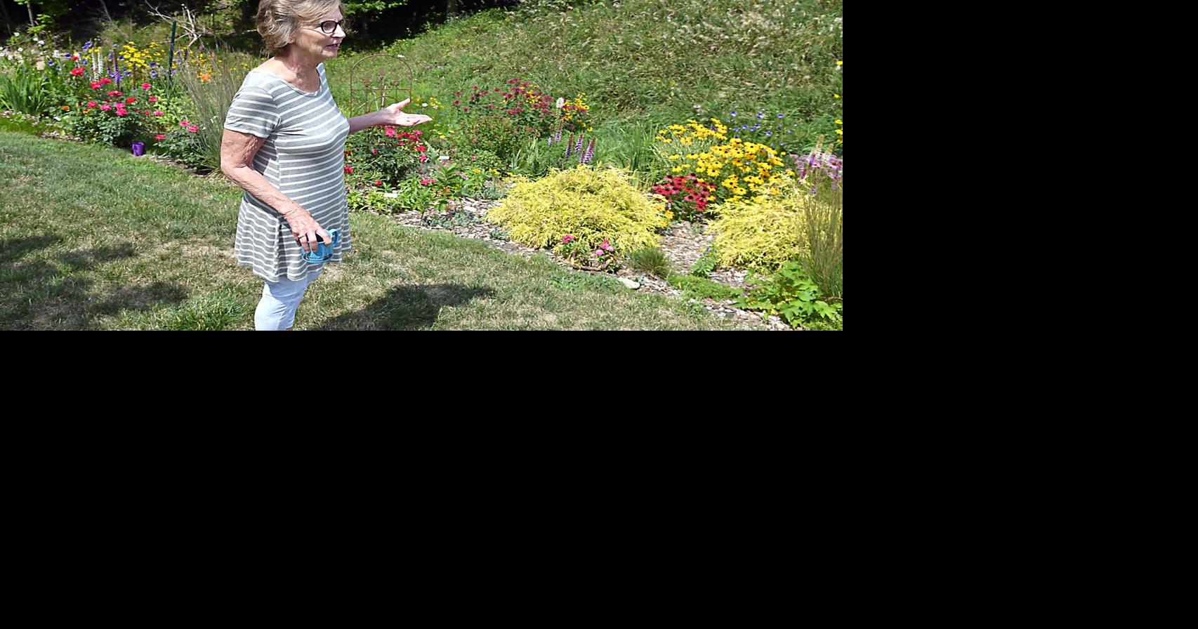 Ravine transformed into pollinator pathway | Local News ...