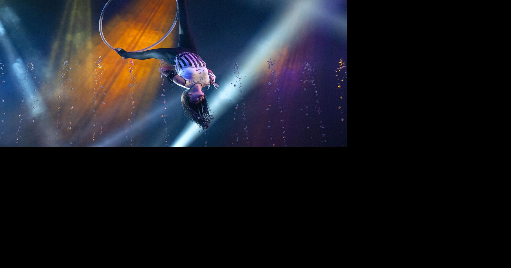 PHOTOS: Cirque Italia brings big top to Mankato | Photos ...