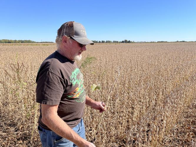 Harvest begins early; area farmers may escape depressed yields | Local ...