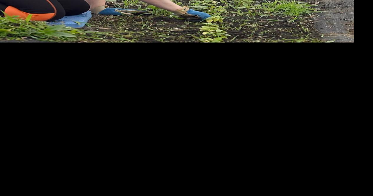 United Way Week of Action | Local News | mankatofreepress.com