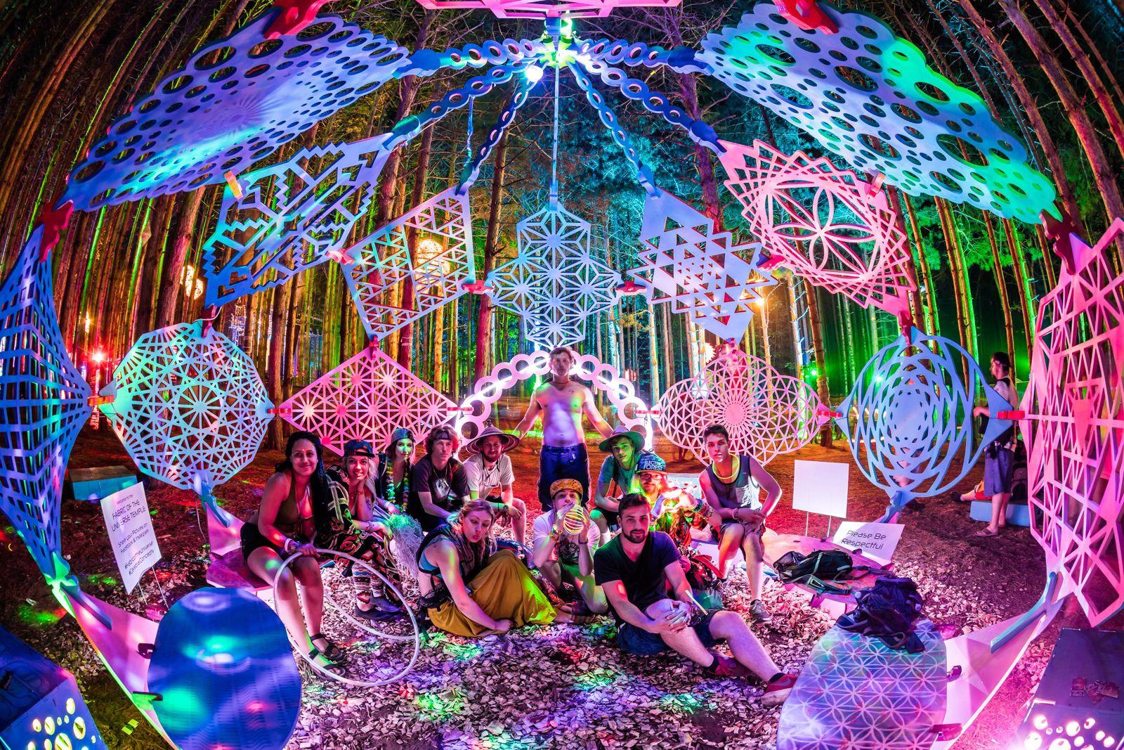 ENCHANTED FOREST: Music festival proved to be positively electric ...