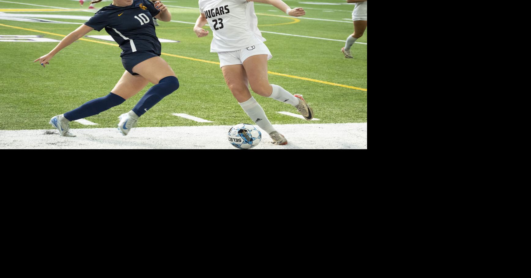 Updated: Mankato East girls fall to Mahtomedi in state semifinals ...