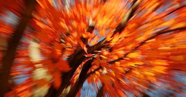 New Ulm’s colors are already at peak | Local News | mankatofreepress.com