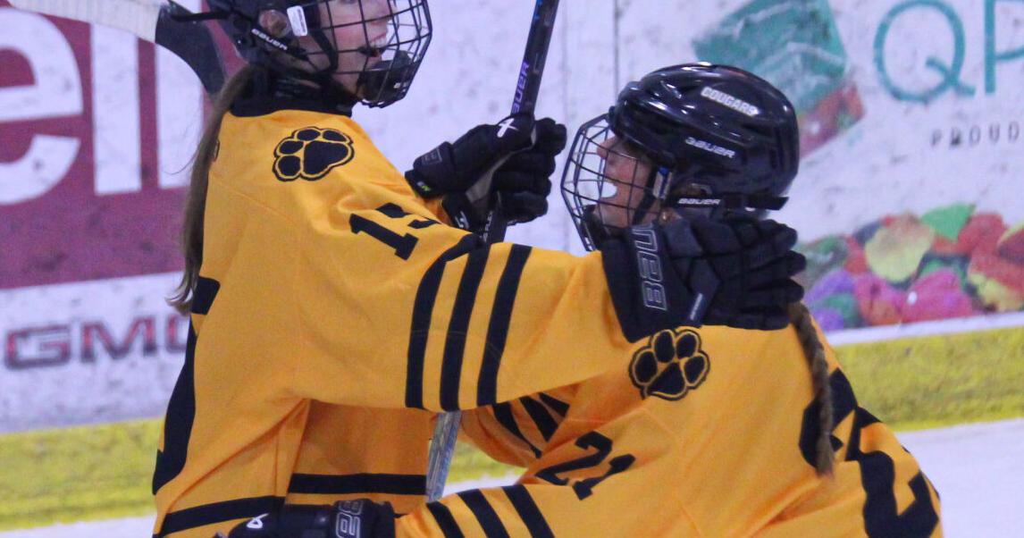 Mankato East girl's hockey advances to sectional championship | Local ...