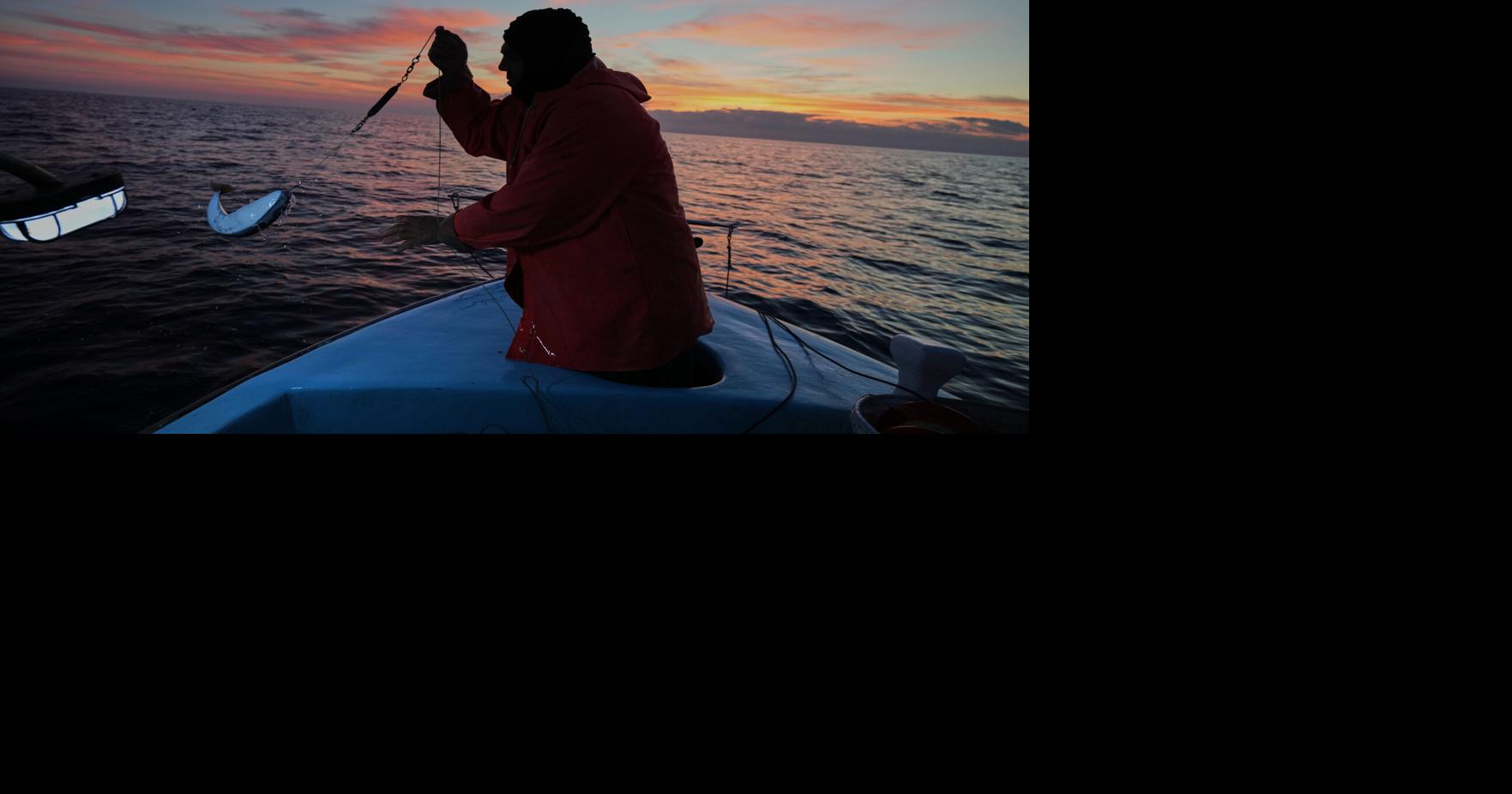 Cypriot fishermen battle invasive lionfish and turn them into a tavern ...