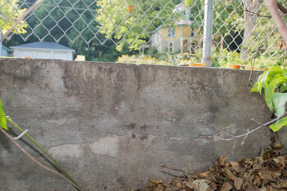 Turtle barriers at Spring Lake Park? North Mankato to investigate ...