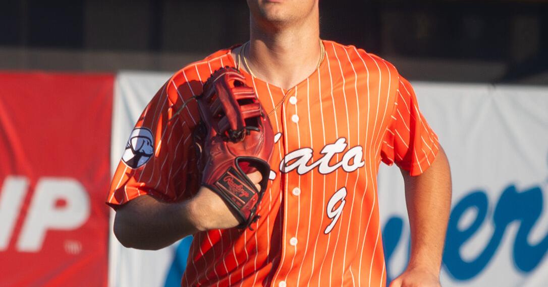 MoonDogs' Williams tried to maximize at-bats this summer | Local Sports ...