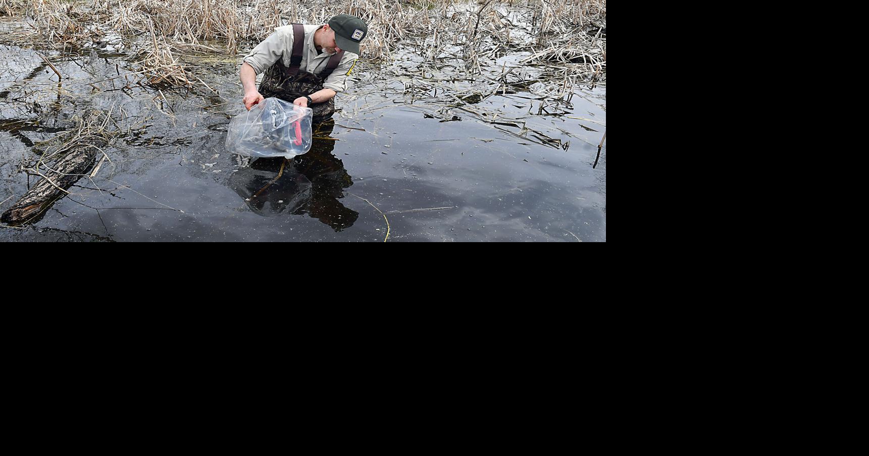PHOTOS: Stocking pike in Duck Lake | Photos | mankatofreepress.com