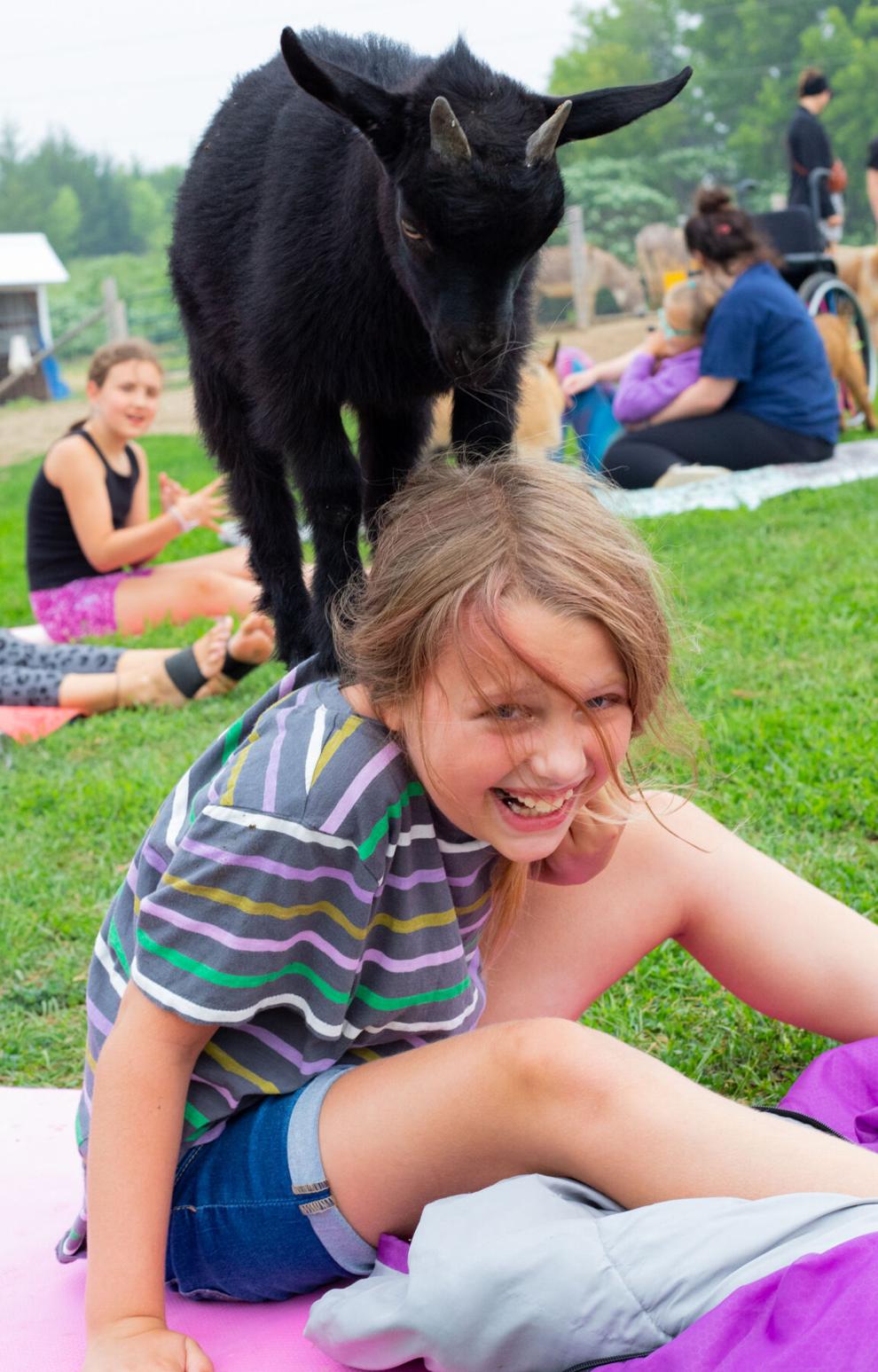 Yoga at Goofy Goat Farm | Photos | mankatofreepress.com