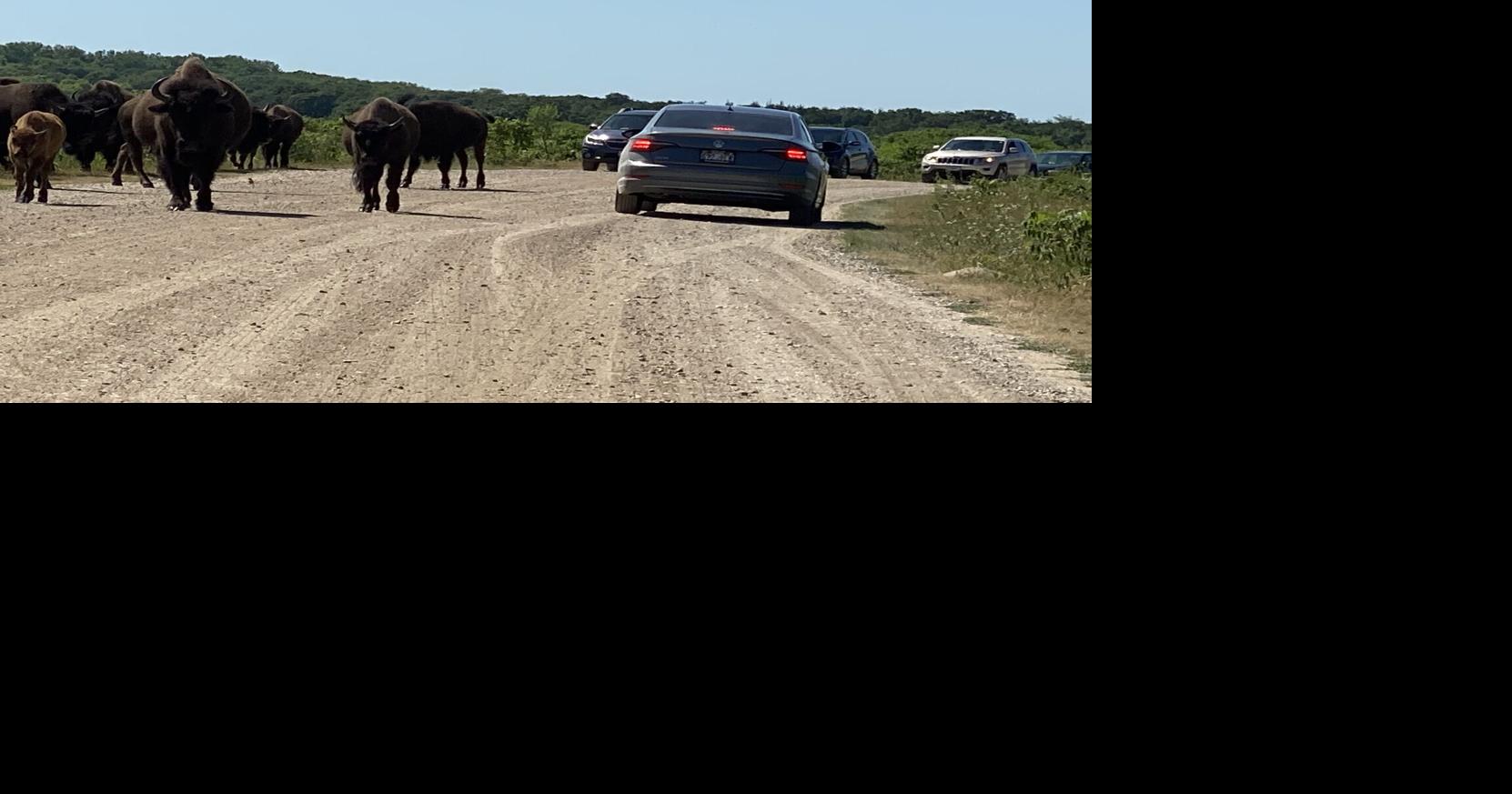 BOOKED UP: State parks busy with sites reserved for months | News ...