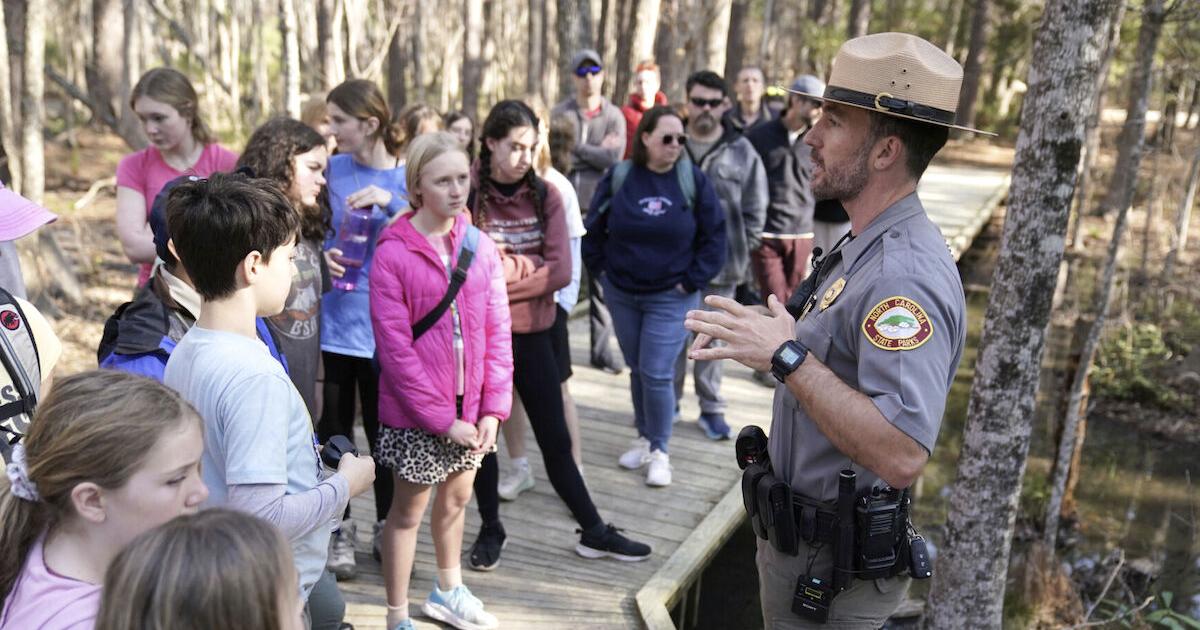 Venus flytraps thrive in ecosystem of Carolinas | Lifestyles ...