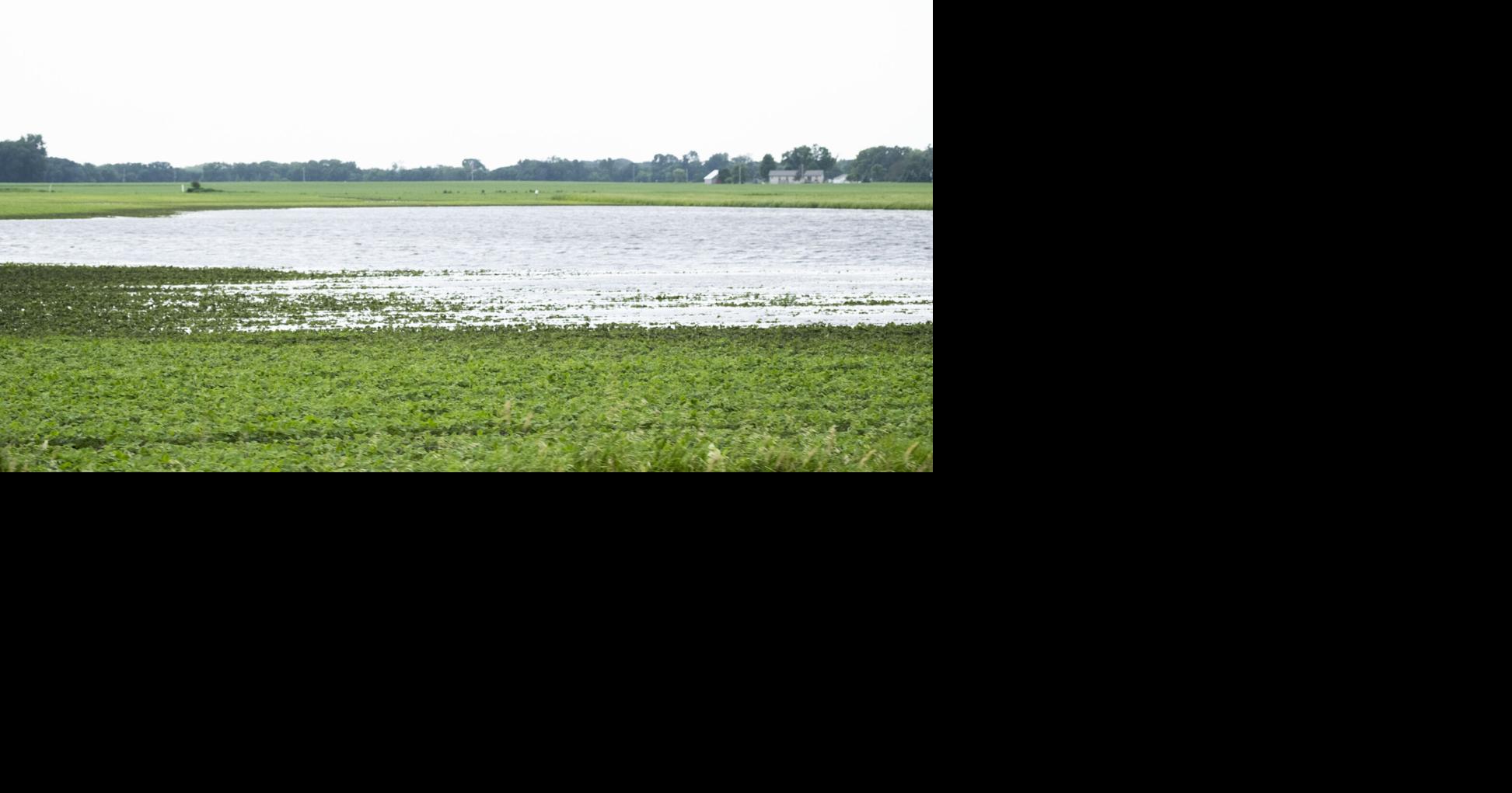For area farmers, soggy fields mean falling yields | Local News ...