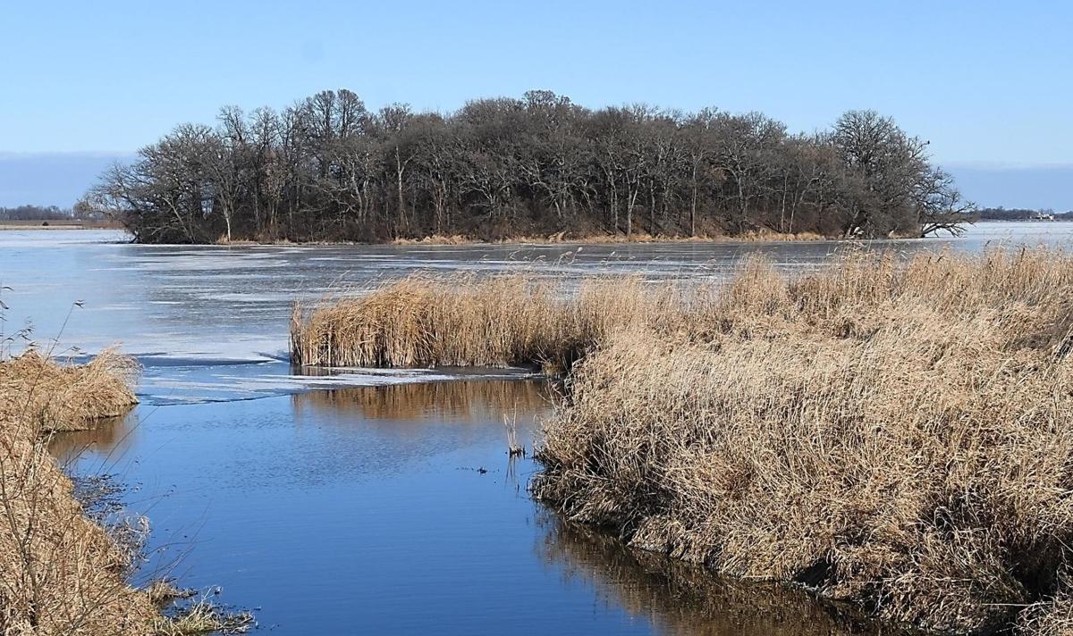 Man has hopes of 'Kangaroo Island' near Gaylord | Local News ...