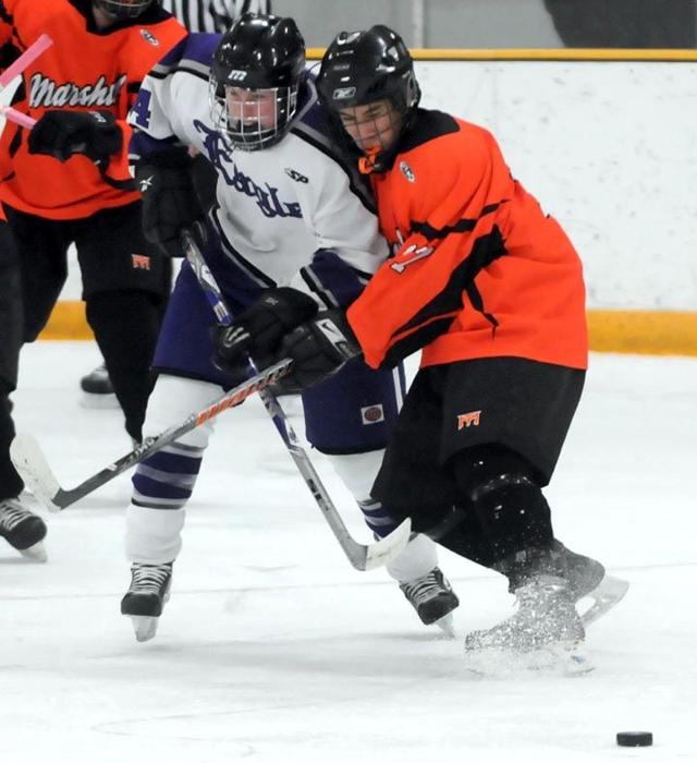 New Ulm boys reach Section 3A hockey finals | Sports | mankatofreepress.com