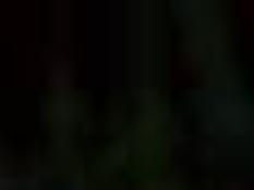 Possum Recipes Tennessee | Bryont Blog